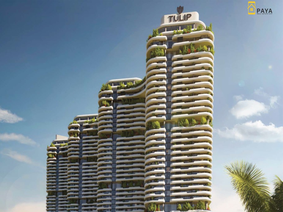 UnderConstruction - 1 BHK Apartment For Sale in Tulip Towers (توليب ...