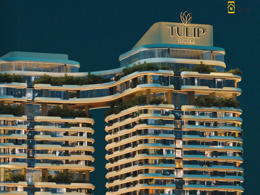 UnderConstruction - 1 BHK Apartment For Sale in Tulip Towers (توليب ...